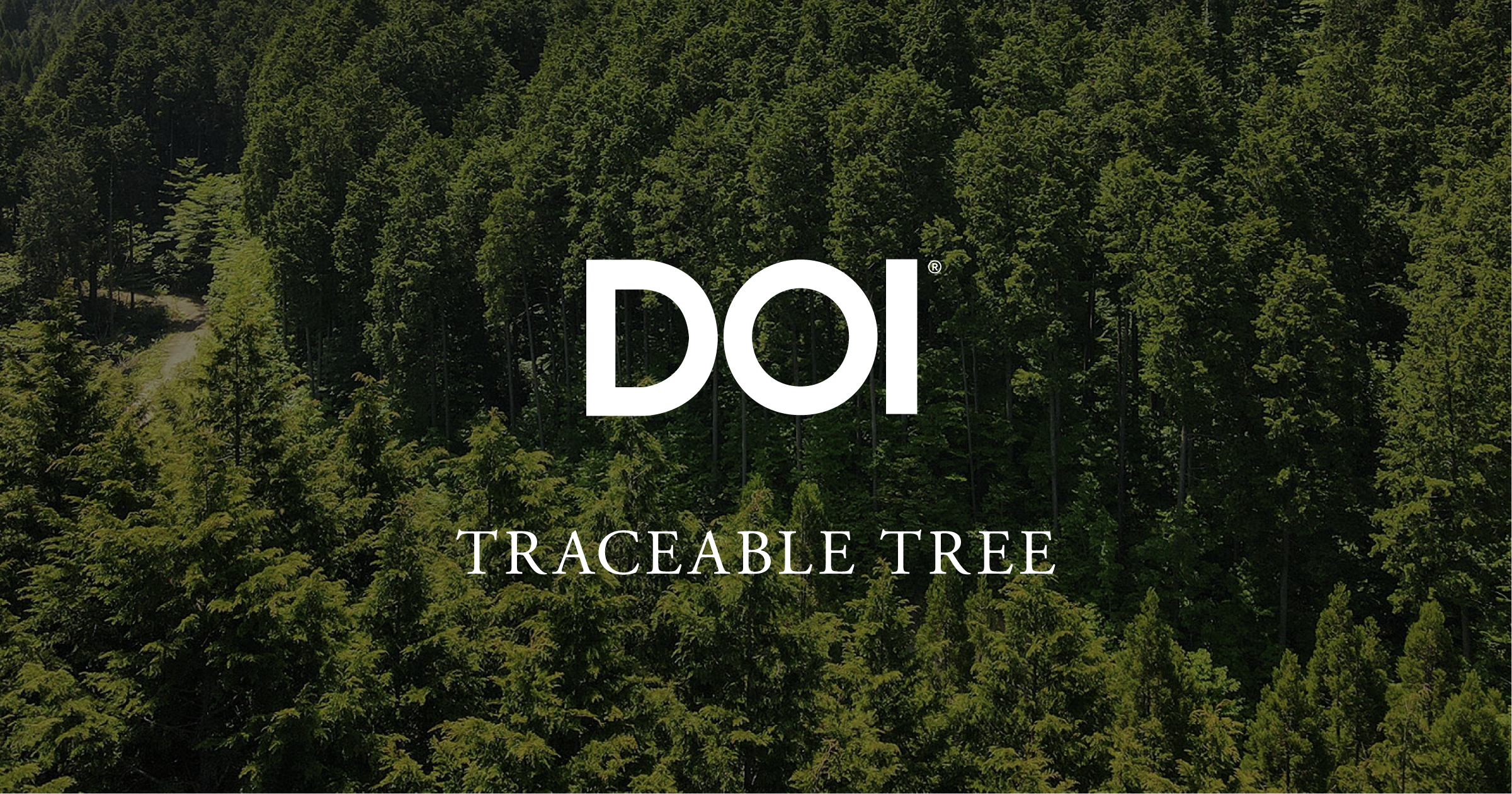PRODUCTS | TRACEABLE TREE 土井木工株式会社